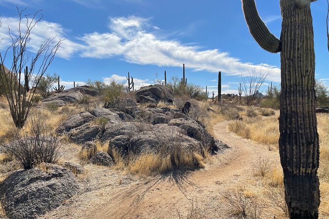 1-2 Hour Sonoran Desert Private Guided Hiking Tour - Key Points