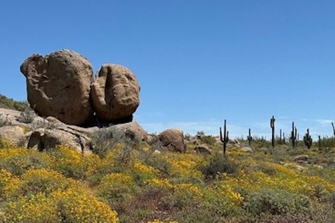 1-2 Hour Sonoran Desert Private Guided Hiking Tour - A Few Caveats to Consider