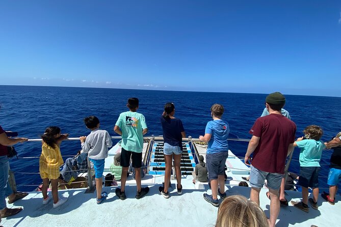 1.5 Hour Whale Watching Cruise With Transportation - FAQ