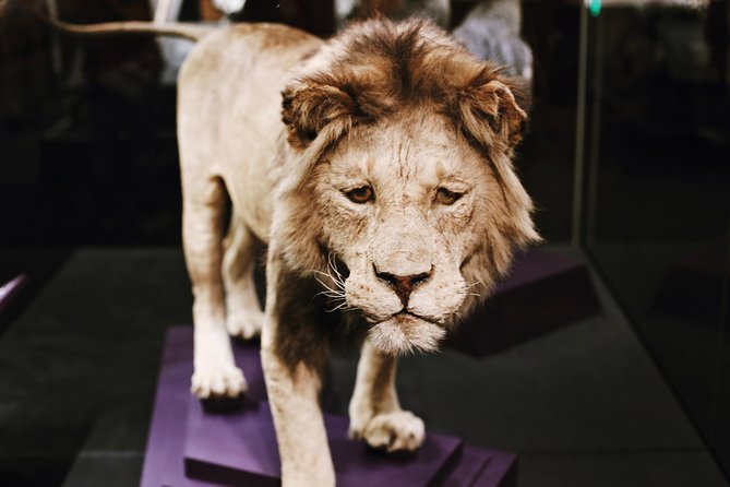 #1 Smithsonian Museum of Natural History | Satisfaction Guarantee - Authentic Experiences from Reviews