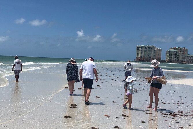 10,000 Islands Excursion Small-Group 3.5 hour Dolphin & Shelling Boat Tour