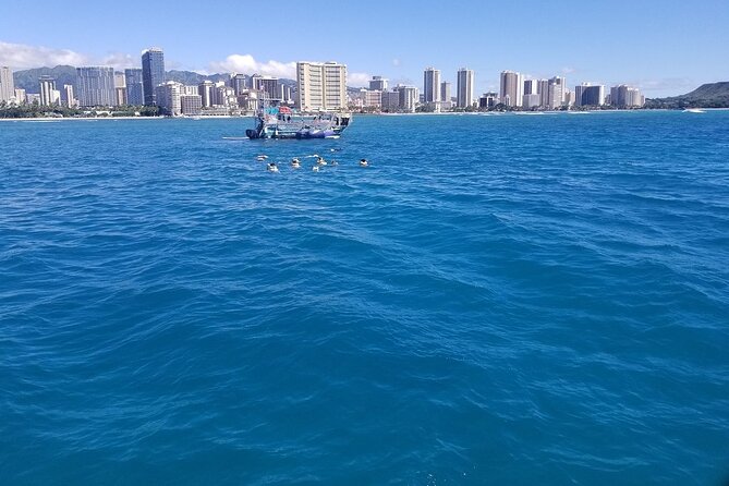 12pm Turtle Canyon Snorkel Adventure - FAQs