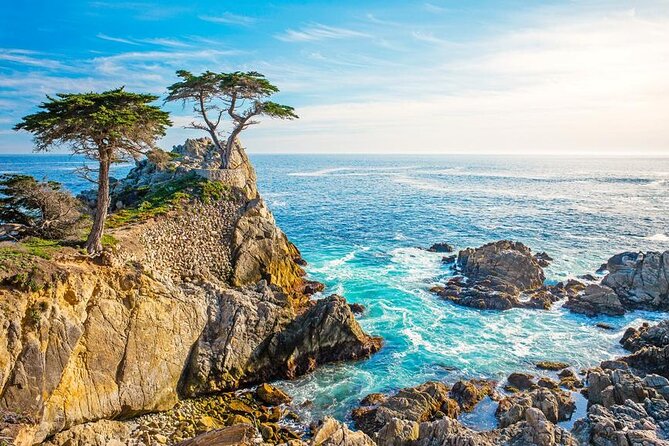 17 Mile and Pebble Beach Tour from Los Angeles to San Francisco - Exploring the Itinerary in Detail