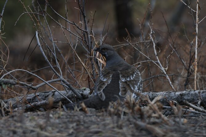 2-Day Private Yellowstone Tour(Lower and Upper Loops w Iconic Sites) w Lunch - An In-Depth Look at the Yellowstone Experience