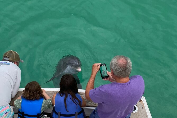 2 Hour Private Dolphin Sightseeing Tour