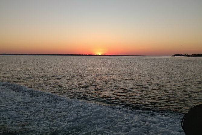 2-Hour Private Sightseeing Dolphin Tour in Panama City Beach