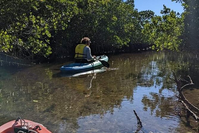 2 Hour Tandem Kayak Tour (Price for 2 People)