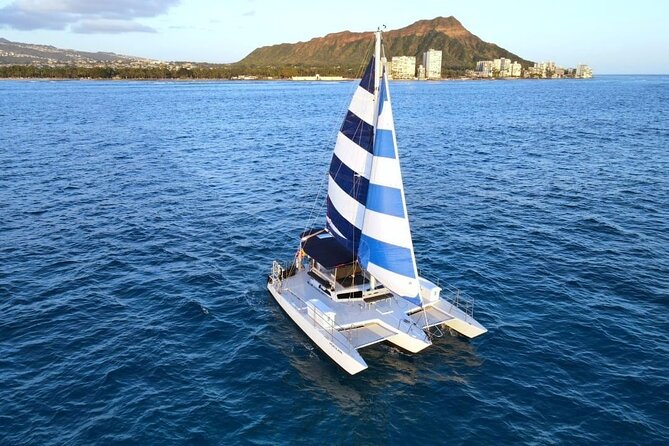 2 Hour Waikiki Whale Watching in Honolulu - An In-Depth Look at the Waikiki Whale Watching Tour