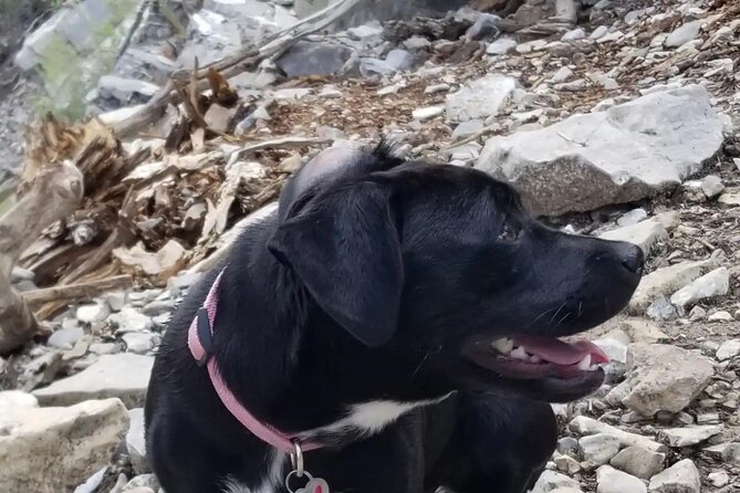 2-Hours Hiking Night Tour to Strip Views in Las Vegas - Who Will Love This Experience?