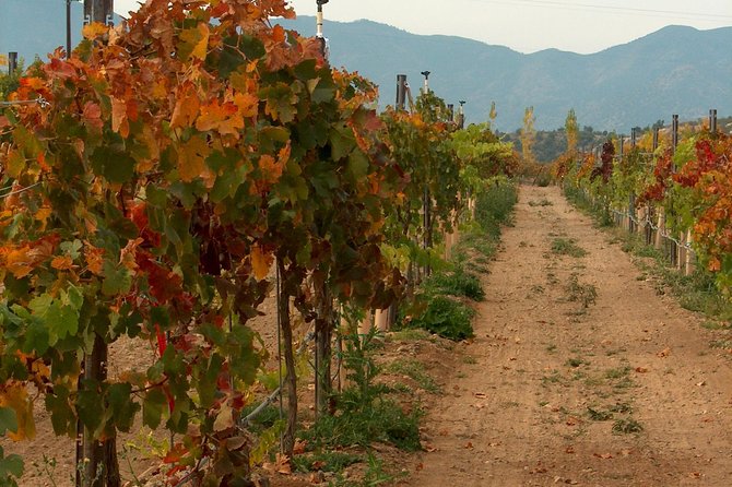 2 Hours Water to Wine Kayak Trip from Cottonwood