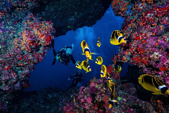2 Tank Lanai Cathedral Scuba Dive Via Boat for Certified Divers