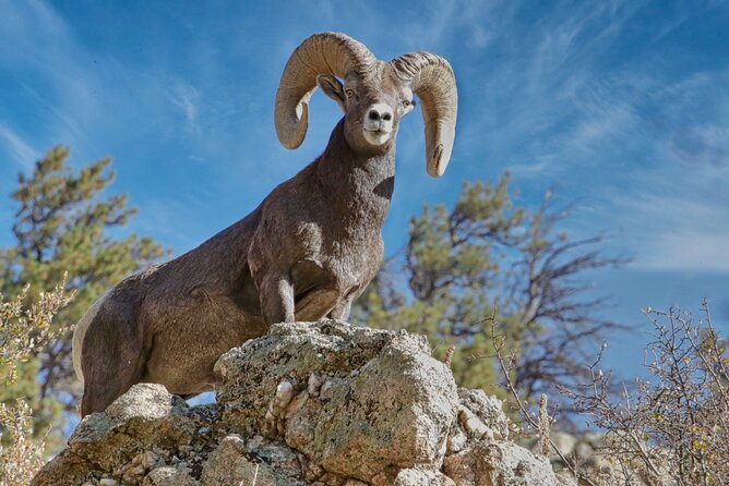 3/4 Day Rocky Mountain NP "Mountain to Sky+Bear Lake Rd" Tour - RMNPhotographer - FAQ