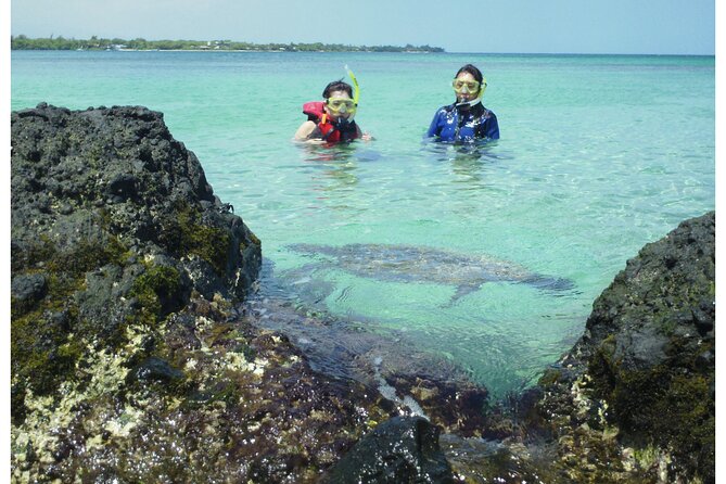 3.5 Hour Kailua-Kona Ocean Kayak and Snorkel Tour