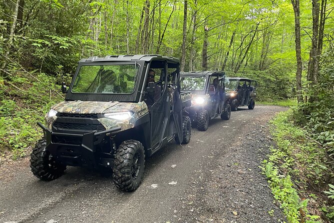 (3 HR) Guided Scenic UTV Adventure - The Real Deal: An In-Depth Look