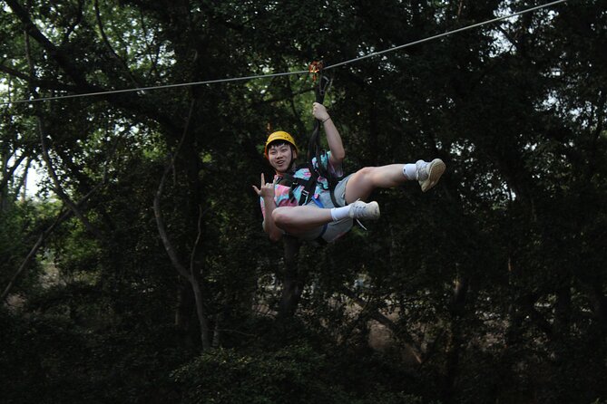 3 Zipline Adventure with Waikiki Transportation - An Overview of the Experience