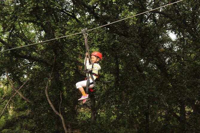 3 Zipline Adventure with Waikiki Transportation - Practical Details and What to Expect