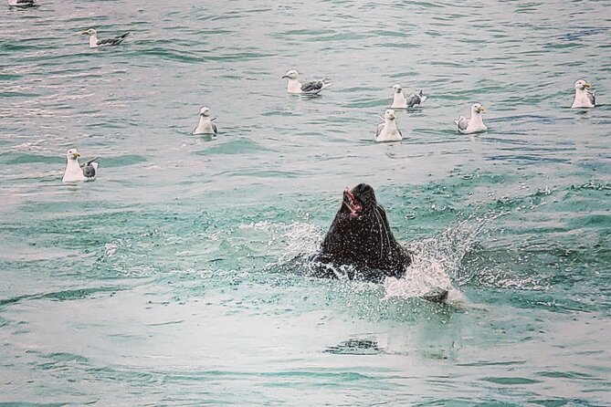 4 day Alaska Seward Camping Adventure from Anchorage - Key Points