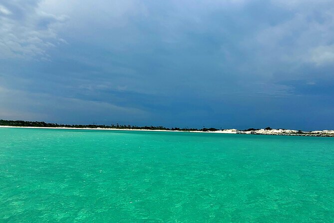 4 Hour Eco Dolphin Tour in Panama - In The Sum Up