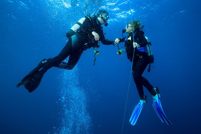 4 Hour Guided Scuba Diving Adventures in Waikiki - Key Points