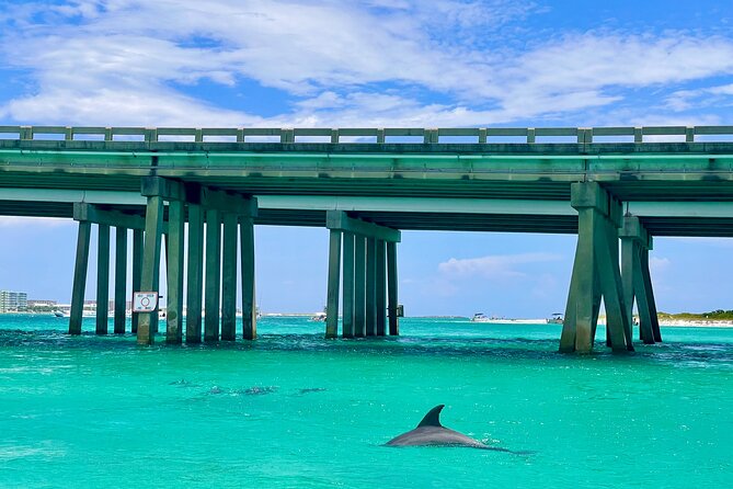 4 Hour Pontoon Rental from Crab Island - Key Points