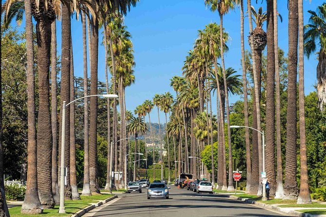 4-Hour private limo Tour of Los Angeles by a TV personality with Free Drinks - The Sum Up