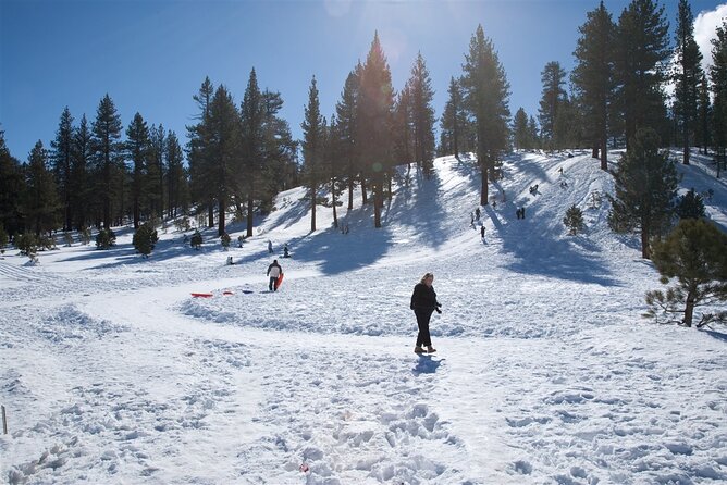 4 hour Vegas Winter Adventure: Mt. Charleston Snow Day - A Deep Dive Into the Mt. Charleston Snow Day Experience