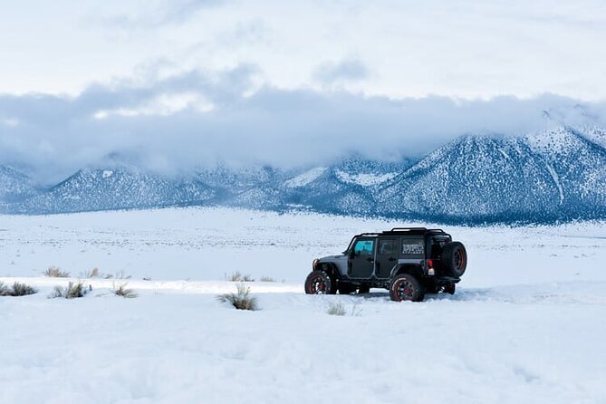 4 hour Vegas Winter Adventure: Mt. Charleston Snow Day - What Reviewers Say and Why It Matters
