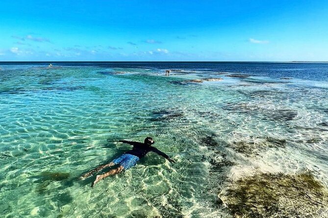 40' Sea Hunter Cruise with Captain Jay - An Authentic Miami Perspective on the Water