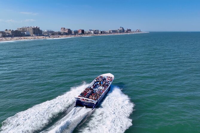 45-Minute Sea Rocket Speed Boat & Dolphin Cruise in Ocean City MD
