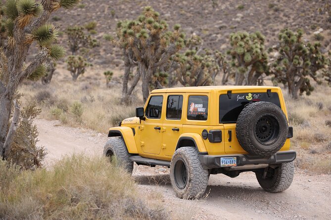 5 Hour Las Vegas Off-Road Secrets: Self Drive Jeep Adventure - Why Choose This Tour?