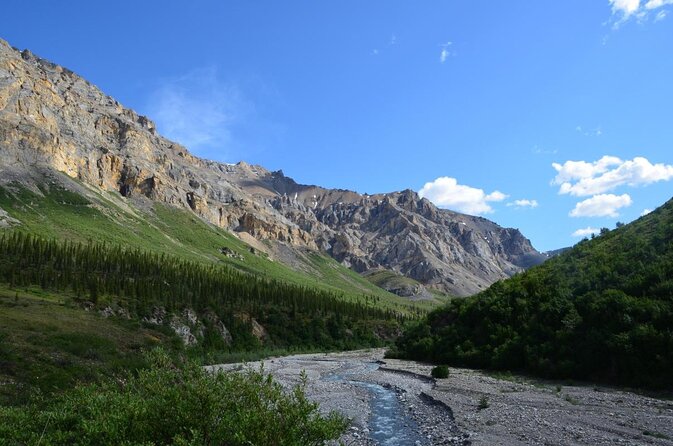 5-Hour Mountain Hiking Tour in the Alaska Range - Denali Area