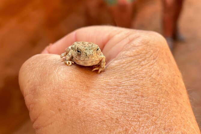 5 Hr Peek-a-Boo & Great Chamber ATV Tour- You Drive! - Itinerary Breakdown