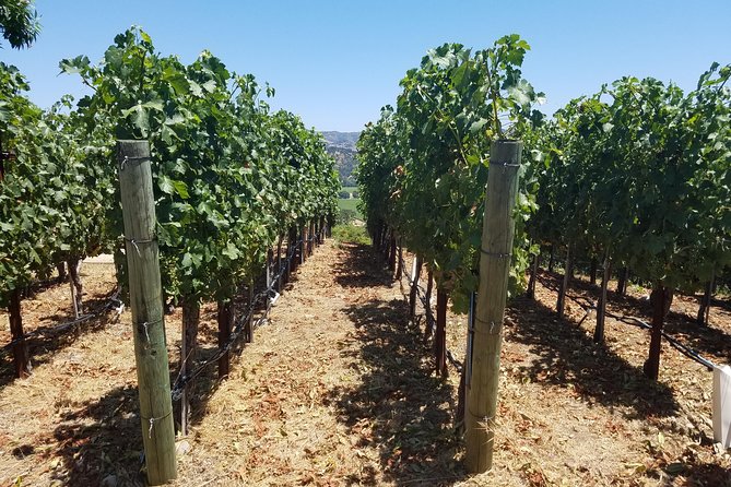 6 Hour Private Wine Country Tour (Sedan, SUV or Limo) - What’s Included and What’s Not