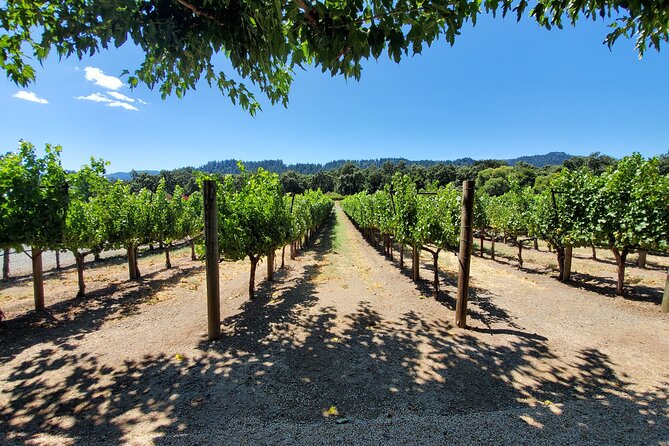6-Hour Sparkling Wine Tour of Napa Valley - The Itinerary: What to Expect