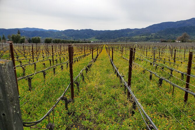 6-Hour Sparkling Wine Tour of Napa Valley - Price and Value
