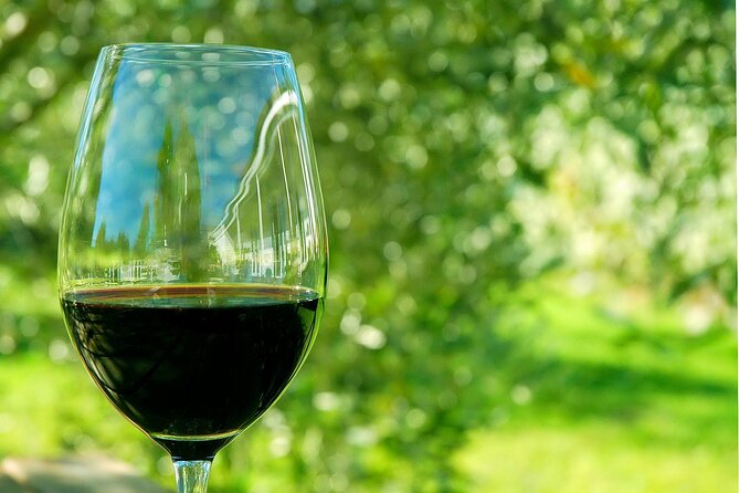 6 Hour Variety Wine Vineyard Tour in Napa Valley - The Itinerary in Detail