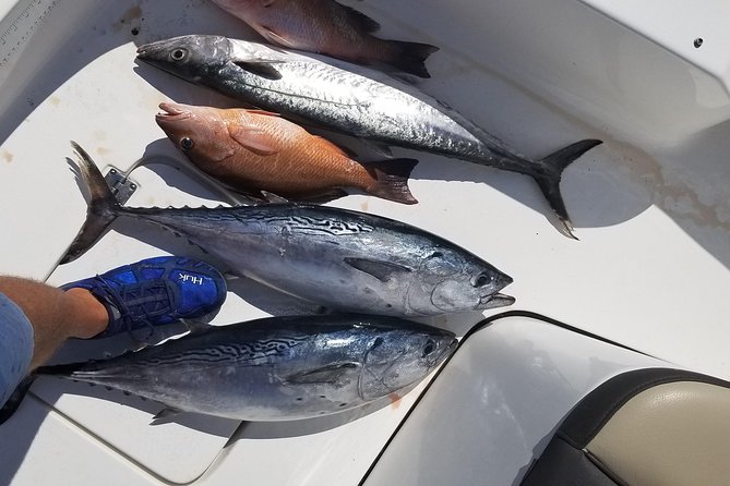 6HR Fishing Charter - The Experience in Detail