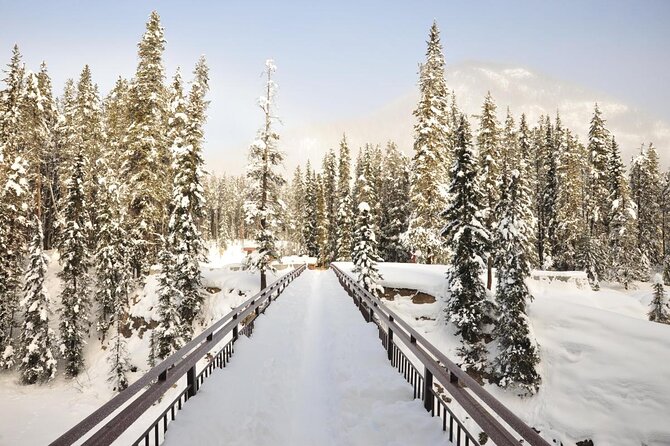 7-Day Small Group Tour: Canadian Rockies and National Parks - Day 1: Wildlife and Waterfalls