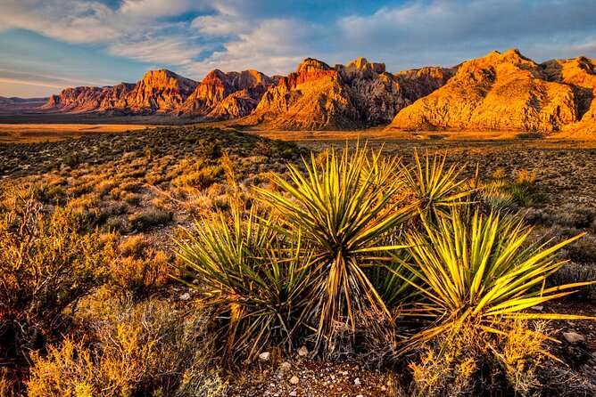 7 Magic Mountains Tour and Las Vegas sign on a Slingshot - Authentic Feedback from Travelers