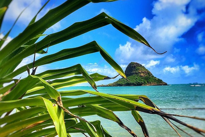 8 Hour Circle Island Jeep Tour - FAQ