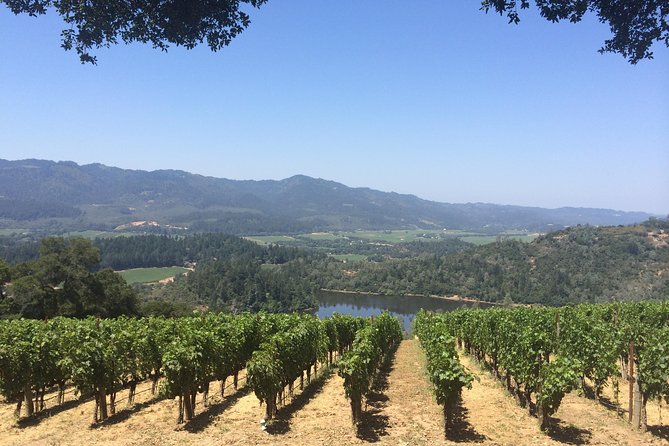 8-Hours Private Limo(up to 8 pass.) Wine Tour of Napa Valley from San Francisco - An Overview of the Experience