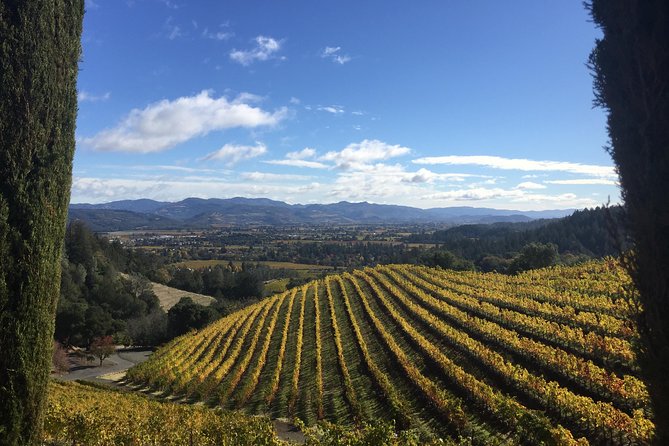8-Hours Private Limo(up to 8 pass.) Wine Tour of Napa Valley from San Francisco - The Overall Experience
