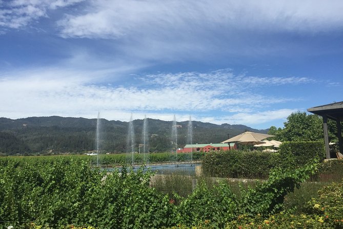 8-Hours Private Limo(up to 8 pass.) Wine Tour of Napa Valley from San Francisco - Final Thoughts