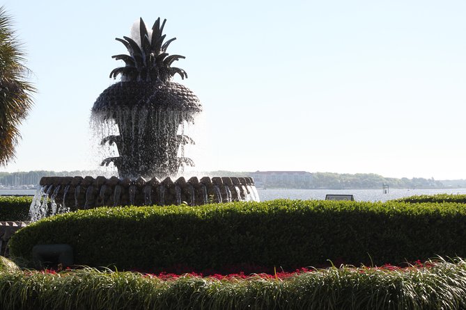 90-Minute Charleston City Sightseeing Bus Tour - An In-Depth Look at the Experience