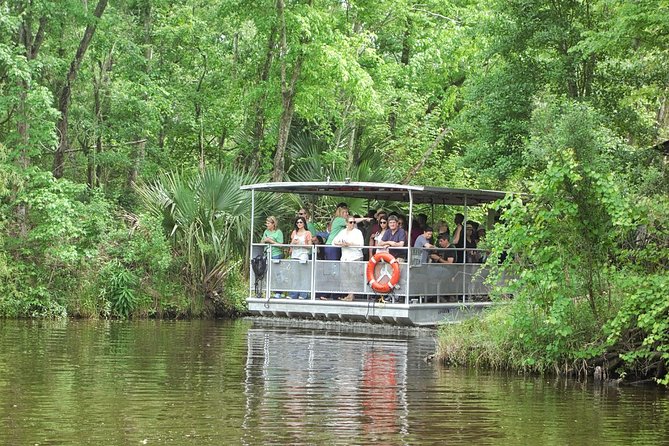 90-Minute Jean Lafitte Swamp and Bayou Tour with Transportation - Key Points