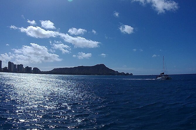 9am Turtle Canyon Snorkel Adventure - FAQ