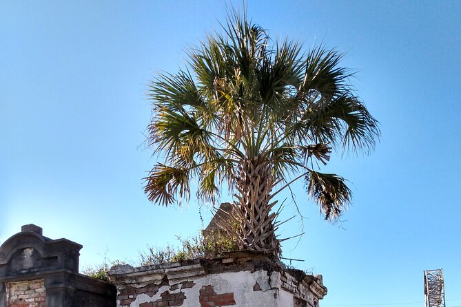 A Local's Garden District Tour - What’s Included and What’s Not