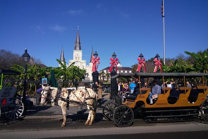 A Local's Private French Quarter Walking or Biking Tour - FAQs