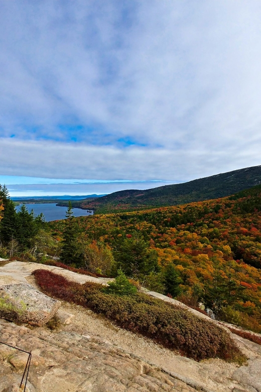 Acadia Half Day Private Bike Tour - Who Should Consider This Tour?
