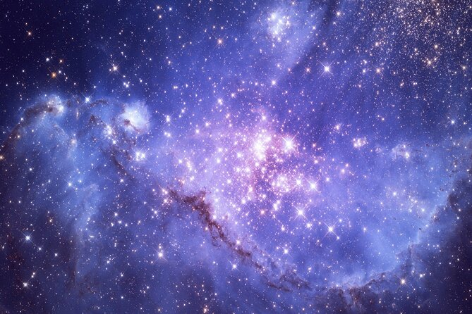 Admission to Kennedy Space Center with Transportation from Miami - What to Expect at Kennedy Space Center